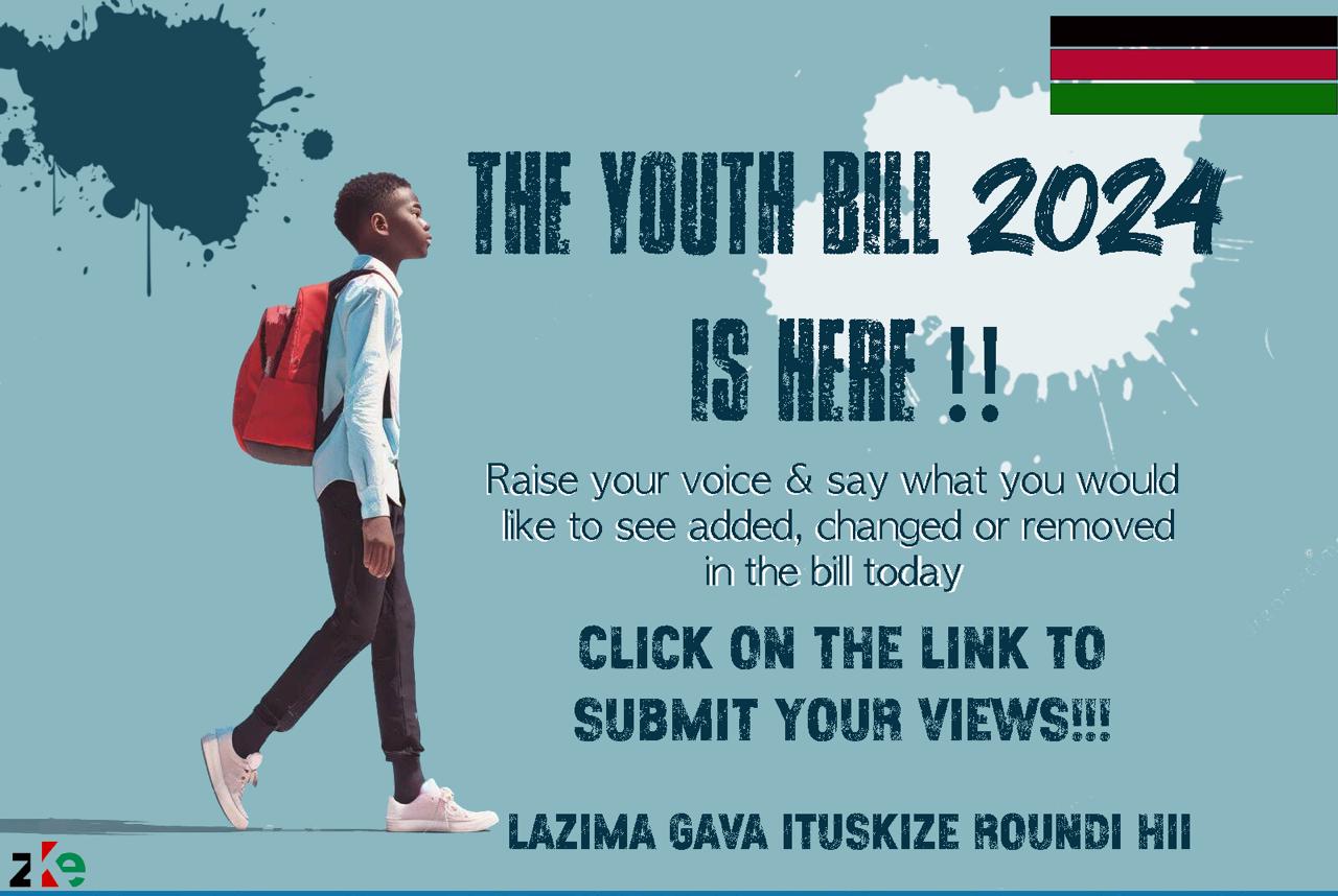 The Youth Bill 2024 - zKe: Youth Voices